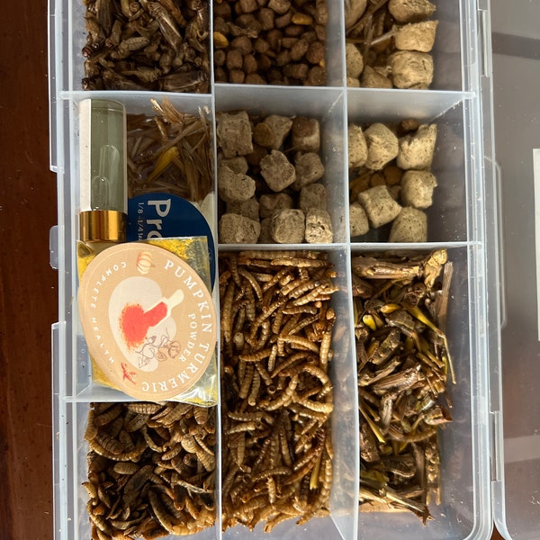 Insect Protein Powder Kibble Topper Hedgehog - Etsy