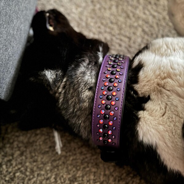 Luxury Big Dog Collar With Spikes 3 Inch Width - Etsy