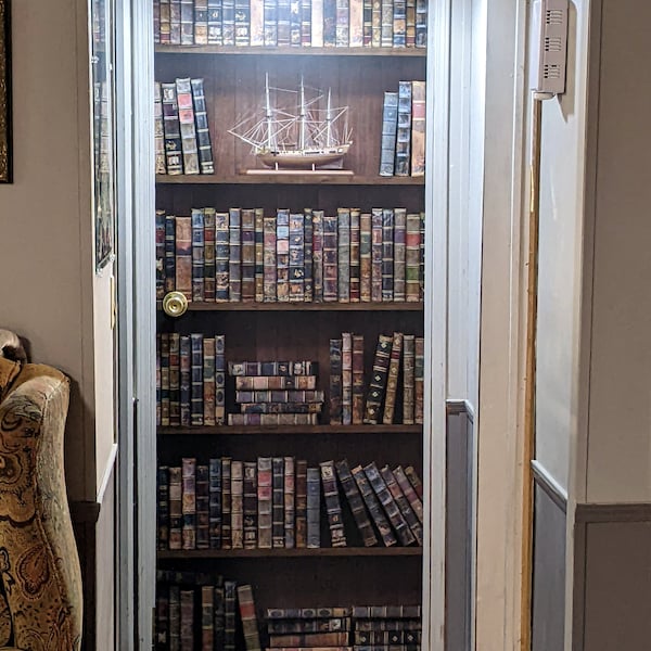 Door Mural - Antique Books, Shelves, Bookcase, Library. Decal for Door ...