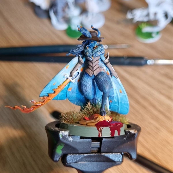 Atropos, Noctuoidea Moth Speculatore - 35mm - - 32mm/54mm Scale ...