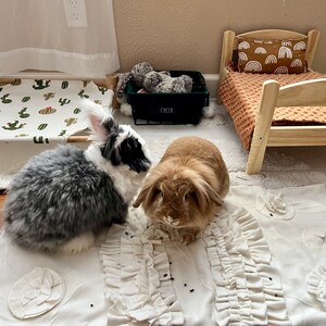 Digital Download Plans for Luxury Bunny Cubby Free Roam Bunnies Cat ...