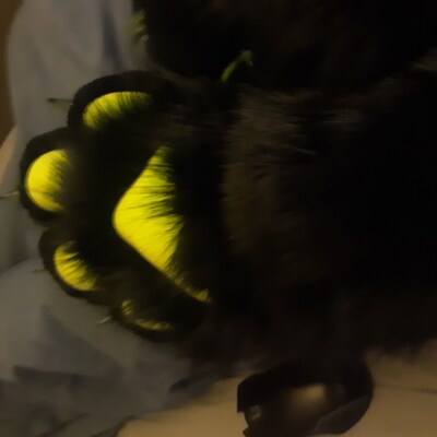 Black Green Paws, Furry Gift, Tiger Paws, Kemono Paws Custom, Pet Play ...