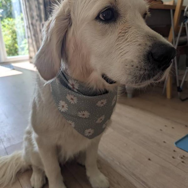 Spiced Honey Leopard Puppy Dog Harness - XS - L - Etsy