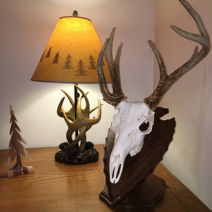 Deer Skull Wall/table Combination Plaque European Mount - Etsy