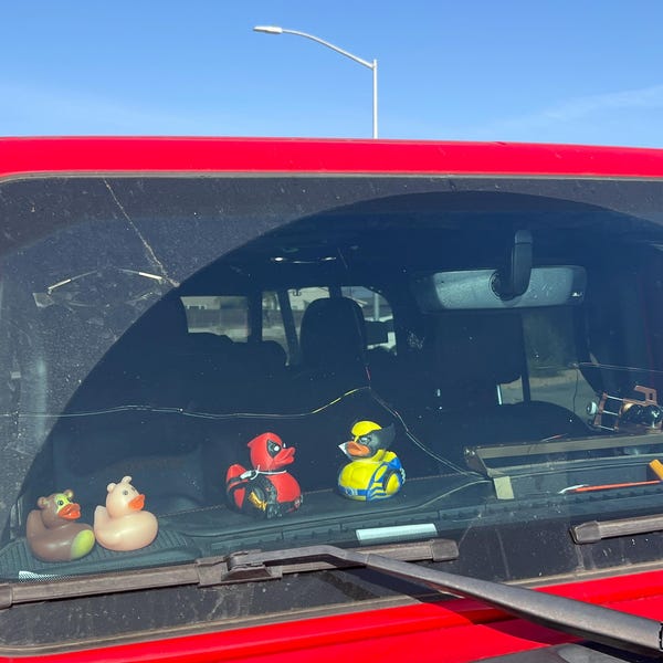 DEADPOOL and WOLVERINE Premium Ducks | Available in 4 Sizes | Deadpool ...