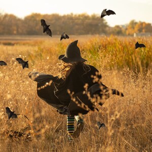 45 Falling Stars Moon Photoshop Overlays Night Sky Overlay | Etsy