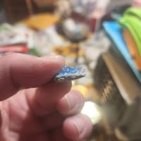 1/12 or 1/6 Scale Crime Scene Investigation Evidence Markers Dollhouse ...