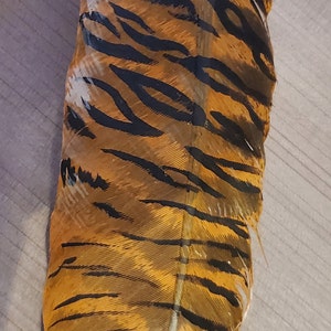 Solid Color Wild Rags 36x 36 - Etsy