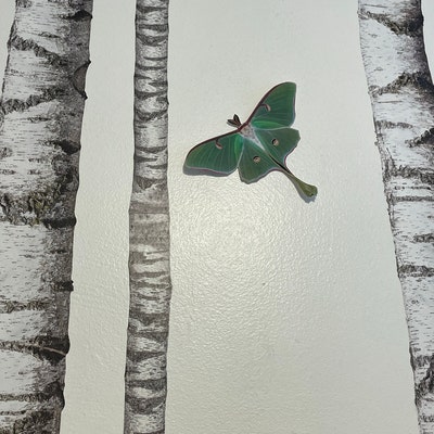 ONE Large Monarch Butterfly Migration Stickers Wall Art - Etsy