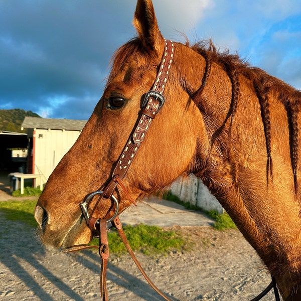 Belt Style White Buckstitch- Split Ear Headstall - Western Headstall ...