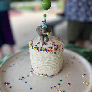 Reptile Birthday Party Cake Topper Chameleon Cake Topper - Etsy