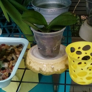 Shrek Unique Planter Pot for Succulents and Flowers 3D Printed, Unique ...