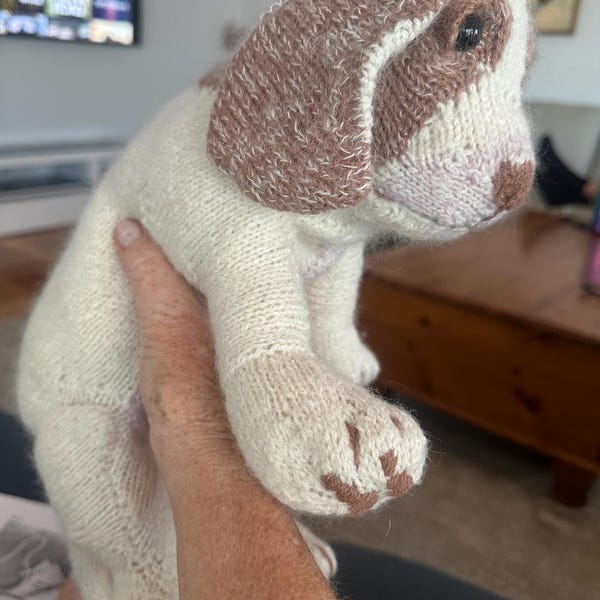 KNITTING PATTERN - Beagle Puppy - Etsy Canada