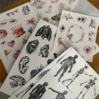 Eucalyptus and Cotton Sticker Set Floral Stickers Journal - Etsy