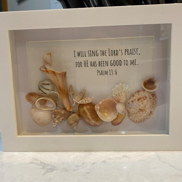 Shell Statement Shadow Box / SWFL - Etsy