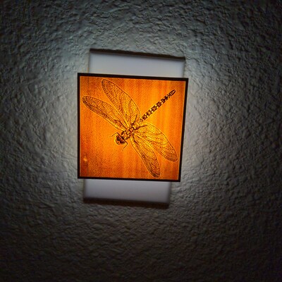 Dragonfly Night-light, Wall Art, Bug, Insect Lamp - Etsy