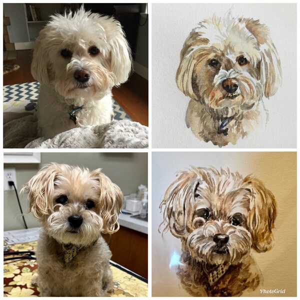 Dog Portrait Custom Sketch/dog Drawing/5"x7" Pencil Sketch/graphite Art ...