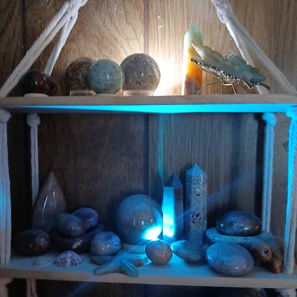 Beautiful Texas Petrified Wood Face Polish Great Detail and Deep Red ...