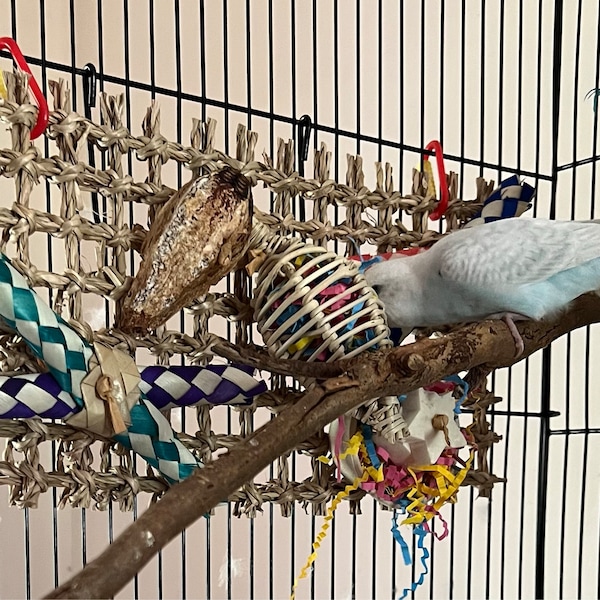 Sola Ball Fun Hand Made Toys for Small to Medium Pet Birds Using Safe ...