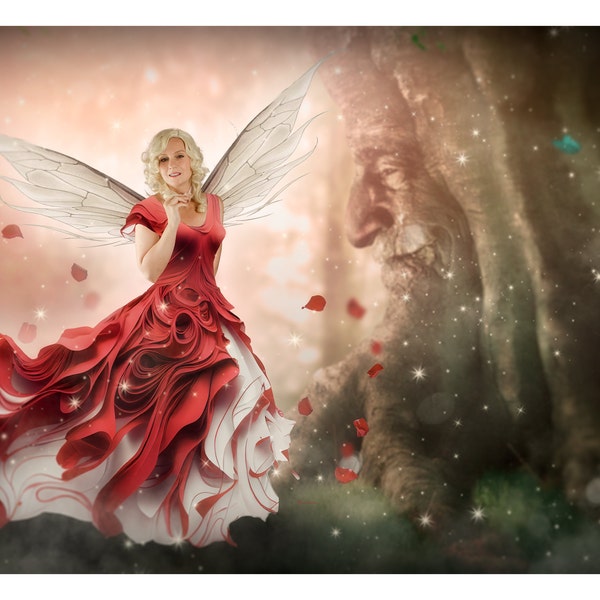 8 BOOKSTORE BACKGROUNDS BACKDROPS- Digital Download, Composite, Overlay ...