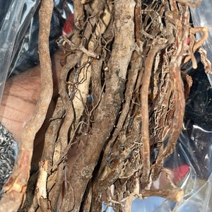 Master Root Oil - Etsy