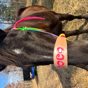 Skinny Bronc Poly Rope Halter - Etsy
