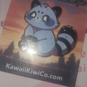 Kawaii Raccoon Hard Enamel and Printed Pin 1.5 Inches Acrylic Pin Trash ...