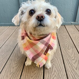 Huckleberry Dog Bandana summer, Spring, Rustic, Flowers, Floral, Summer ...