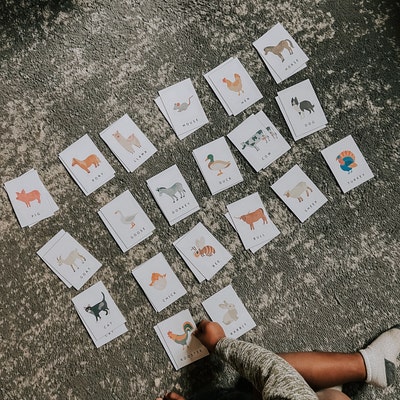 20 Farm Animals Cards, Montessori Flash Cards, Pre-school Cards ...