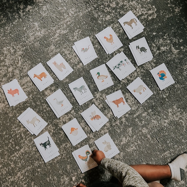 20 Farm Animals Cards, Montessori Flash Cards, Pre-school Cards ...