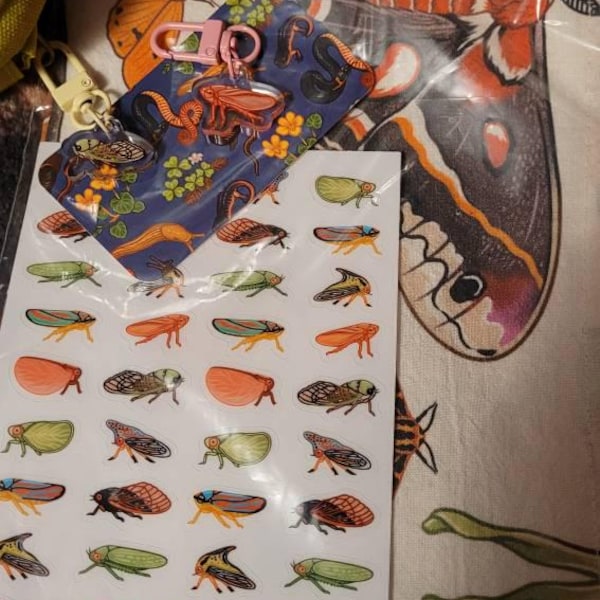Number 1 Bug Enthusiast Iron-on Patch / Entomologist / Entomology ...
