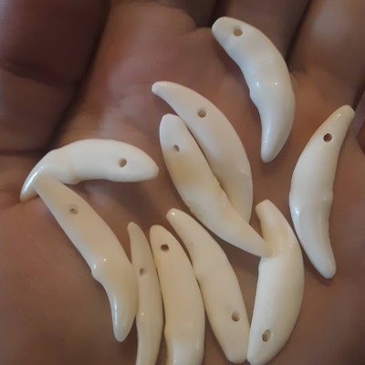 10 Coyote Teeth Fangs Canine Animal Teeth Pre-drilled Jewelry Beads ...