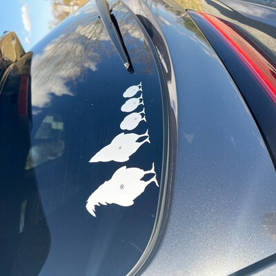 Unique Cat Family Car Stickers Vinyl Decals Funny Cat Butt Outdoor ...