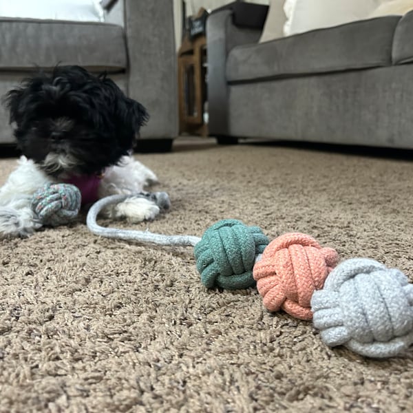 Eco-friendly Cotton Rope Dog Toy Braided Anchor and Wheel, Tug of War ...