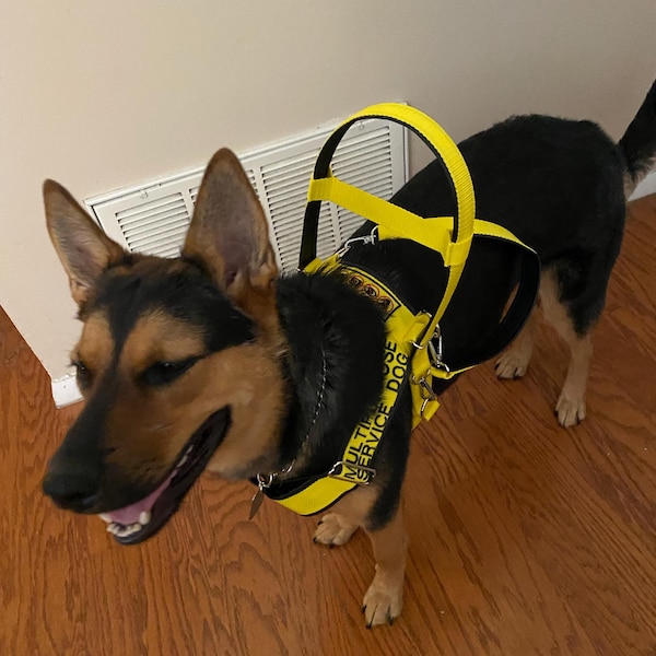 Cape Tab Custom Attaches to Dog Harness - Etsy