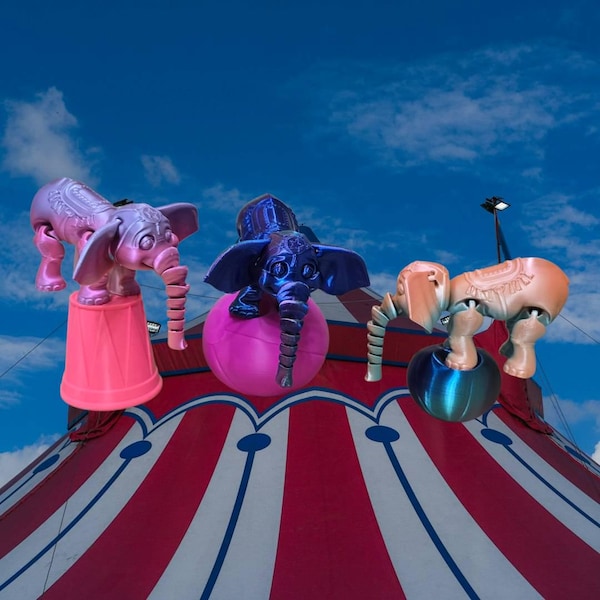 Flexi Print-in-place Fish - STL File for 3D Printing Active - Etsy