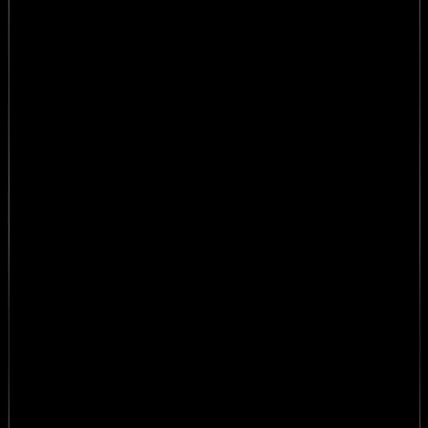 Rodeo Photo Booth Photo Template Birthday Party Women's Western ...