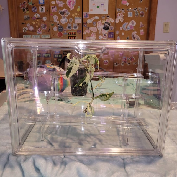 Mini Greenhouse L | Acrylic Clear Plant Propogation Box | With ...