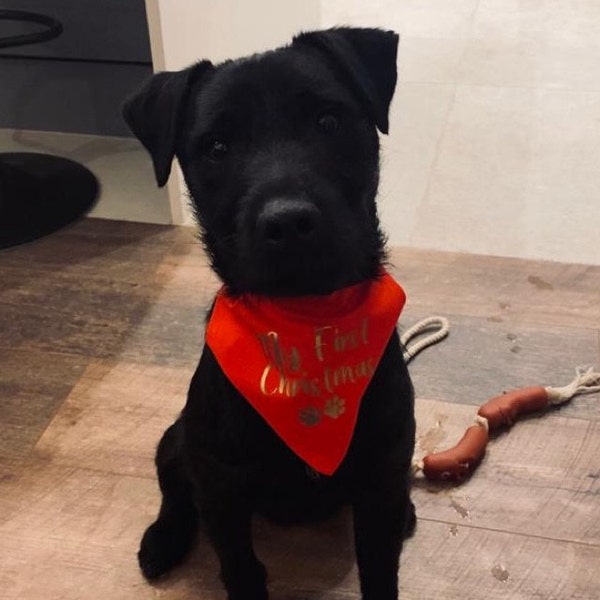 RED My First Christmas Dog Cat Bandana Neckerchief Bandana for Dogs ...
