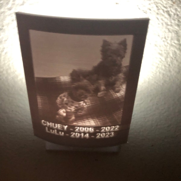 3D Printed Pet Photo LED Night Light, Personalized Pet Sympathy Gift ...