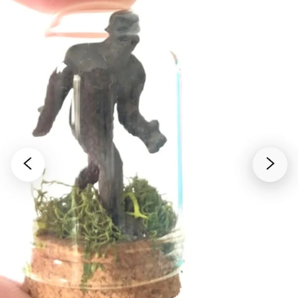 World’s Tiniest Bigfoot/ Bigfoot in a Dome/bigfoot Planter/ Tiny ...