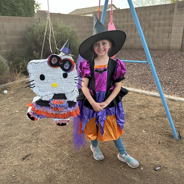 Labubu Pinata 19x9.5x4 - Etsy