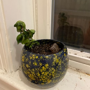 Succulent Planter / Azalea Pot / Ceramic Succulent Pot / | Etsy