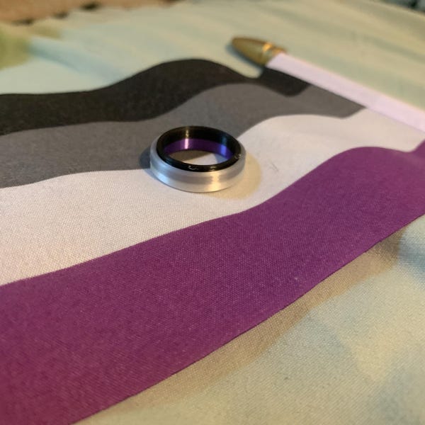 LGBTQ+ Fidget Rings, Pride Flag Fidget Rings, Pride Month, LGBTQ+ Flag ...