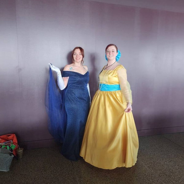 Cinderella Princess Dress Cosplay Costume Adult Cinderella Queen