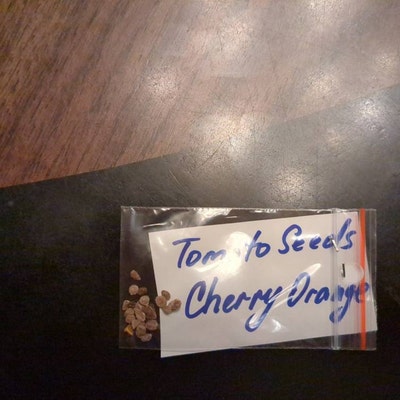 Celosia Flower Seeds Bullfighter Flower Seeds - Etsy