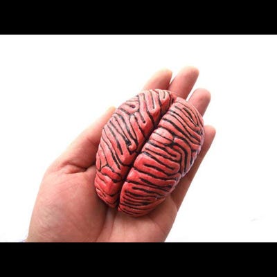 Brain Sculpture, Ceramic Brain Sculpture, Brain Wall Art, Psychology ...
