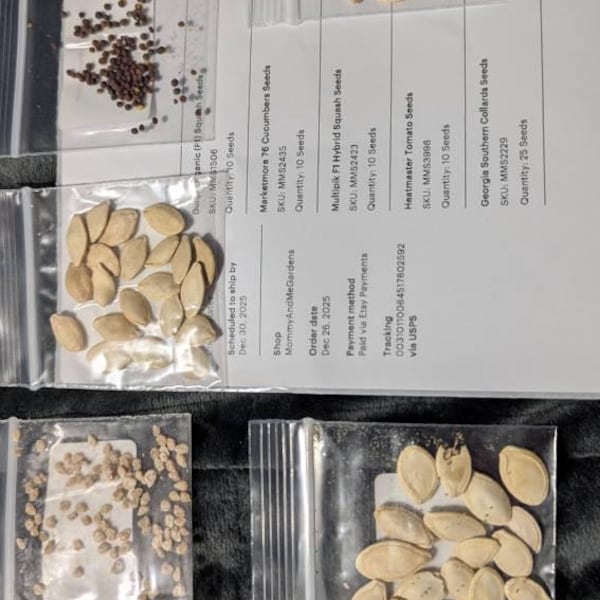 Heatmaster Tomato Seeds - Etsy