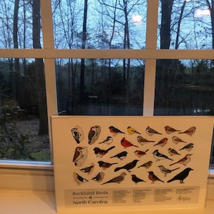 California Printable Backyard Birds of California Field Guide Print ...