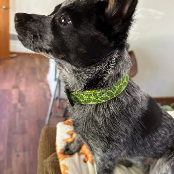 Labrador Retriever Dog Collars, Canoe Dog Collars, Wilderness Dog ...